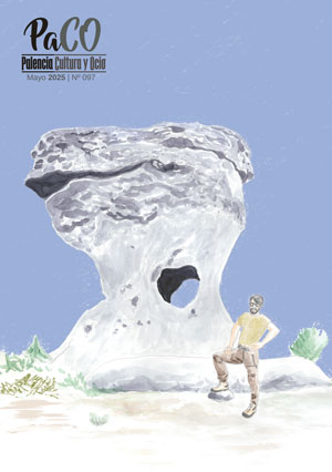 PaCO Magazine - Palencia en la Red