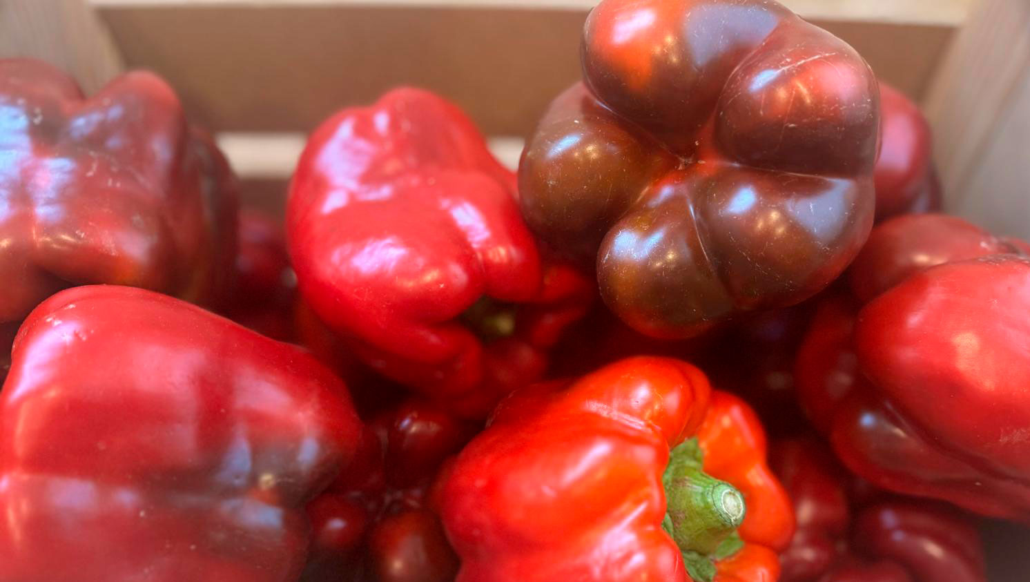 Torquemada ensalza hoy su exquisito pimiento: estas son las razones que ...